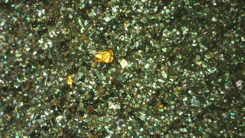 rio madeira | Canary Gold